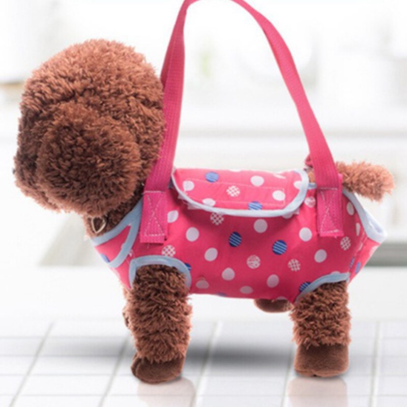 3 In 1 Hond Hand Bag Carrier Voor Honden Draagbare... – Grandado