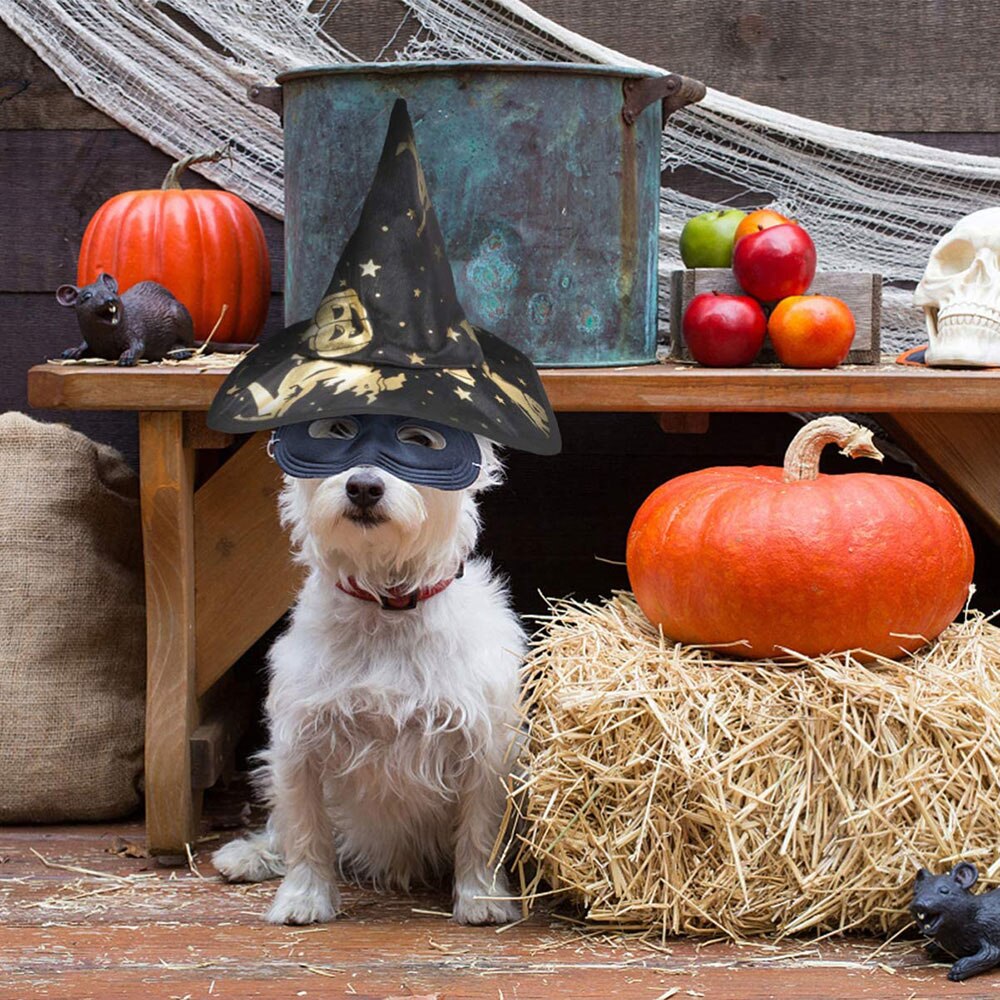 Pet Dog Halloween Cloak Dog Cat Cape Witch Hat Wit... – Grandado