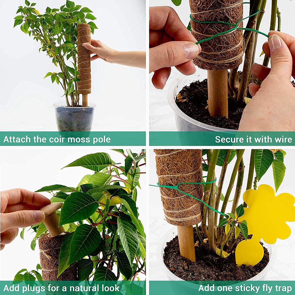 Coir Totem Pole Plants Climbing Rattan Sticks Exte... – Grandado