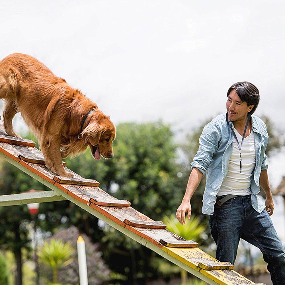 3Pcs Stille Dog Bark Control Whistle Verstelbare P... – Grandado