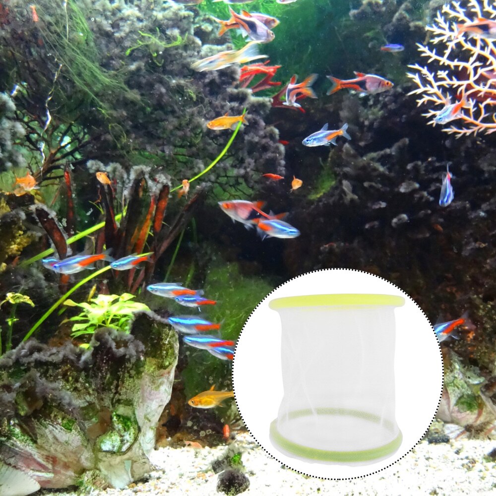 1Pc Fish Fry Spawning Box Fish Breeding Net Fish T... – Grandado