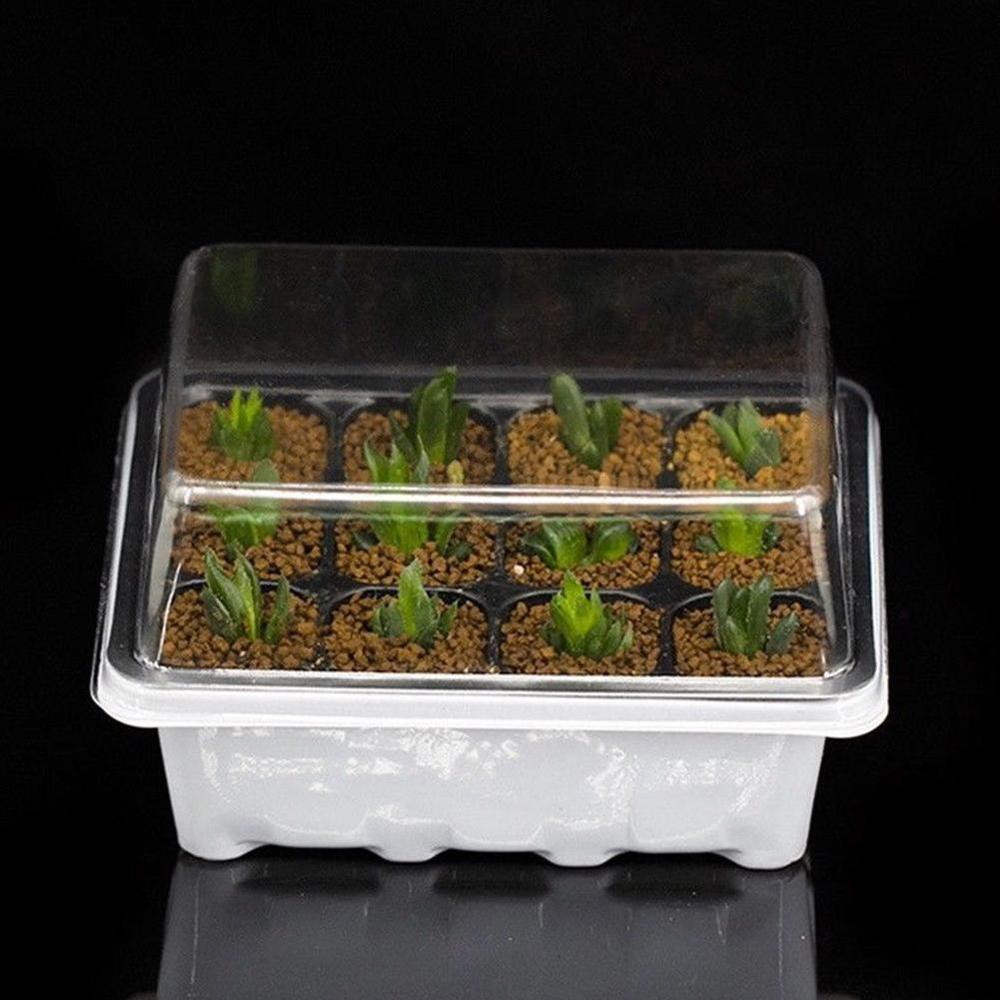 12 Cells Nursery Pot Planting Seed Tray Kit Plant ... – Grandado