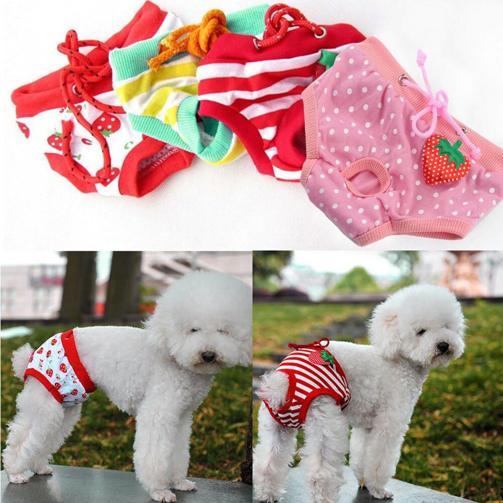 Pet Dog Physiological Pants Strawberry Print Cotto... – Grandado
