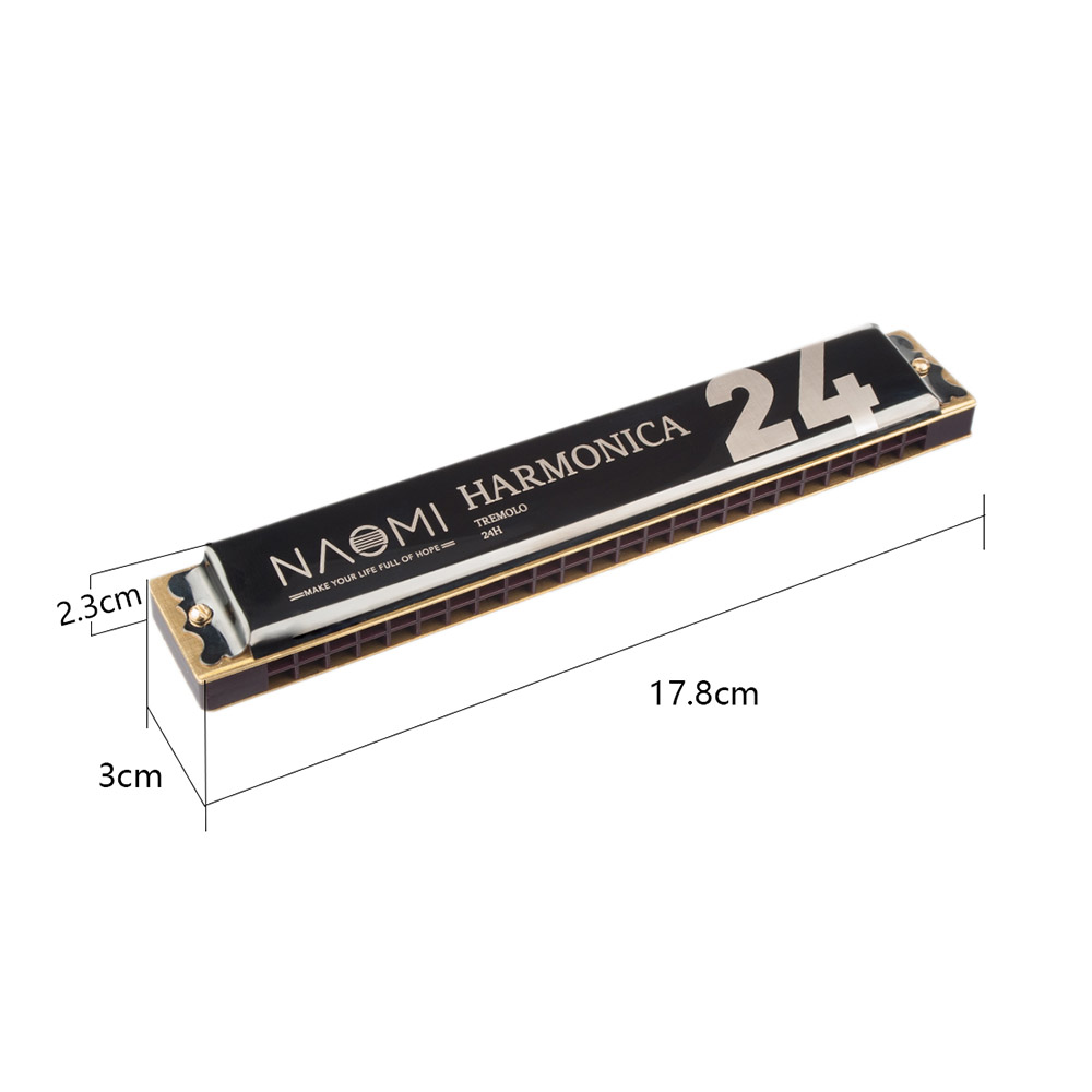24 Holes Tremolo Harmonica Key of C Stainless Stee... – Grandado