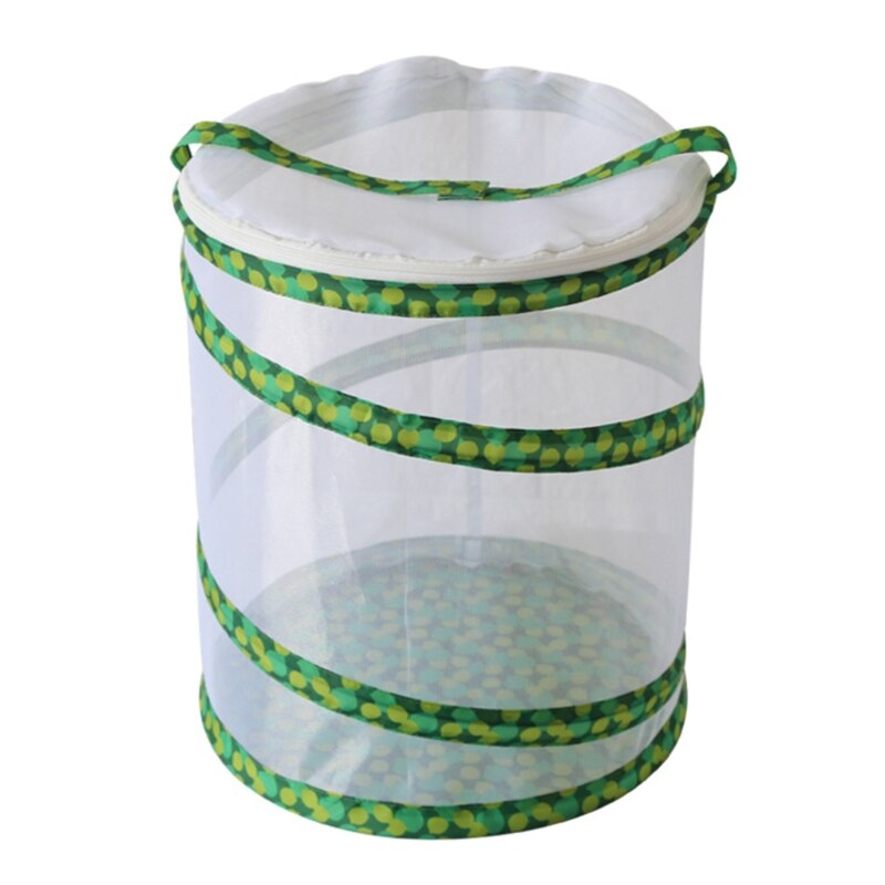 Insect and Butterfly Habitat Cage Terrarium Insect... – Vicedeal