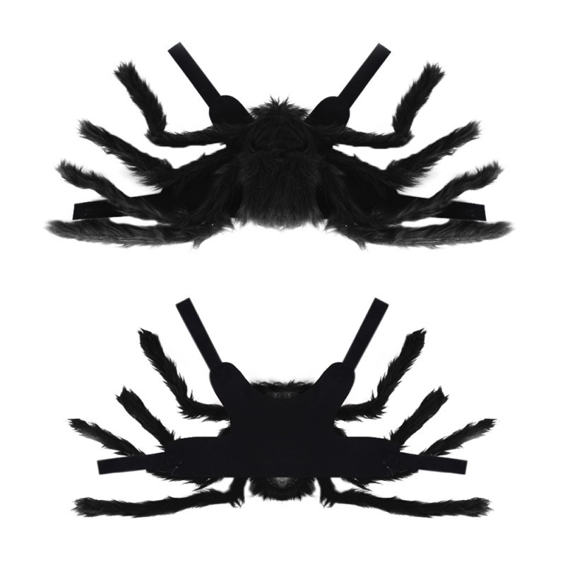 Halloween Pet Spider Clothes Black Spider Cat Cosp... – Grandado
