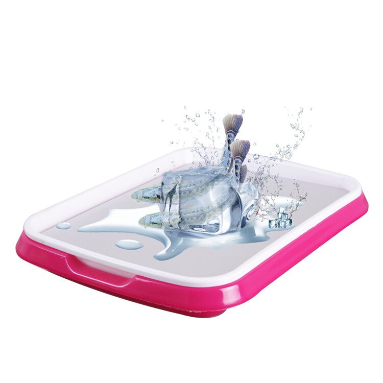 Unfreeze version of silver Ion rapid thawing plate... – Grandado
