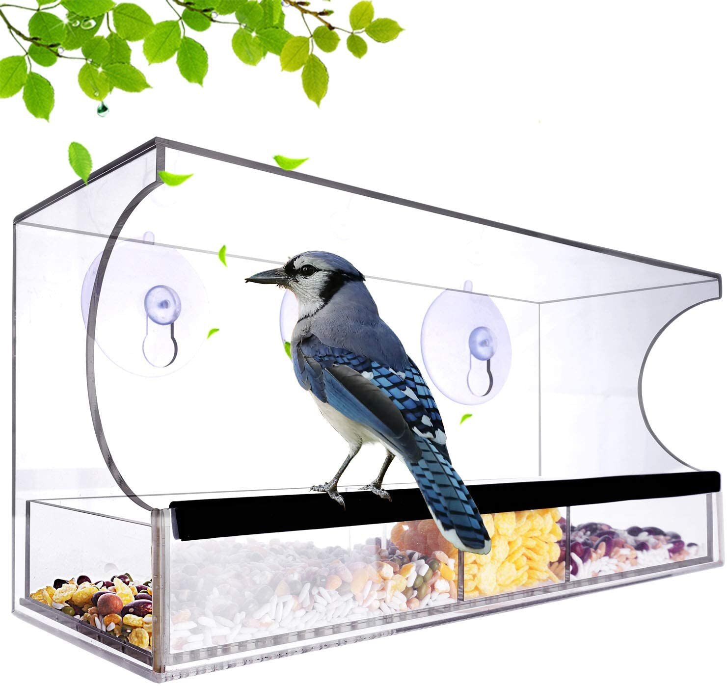 Clear Glass Window Viewing Hanging Bird Cages Feed... – Grandado