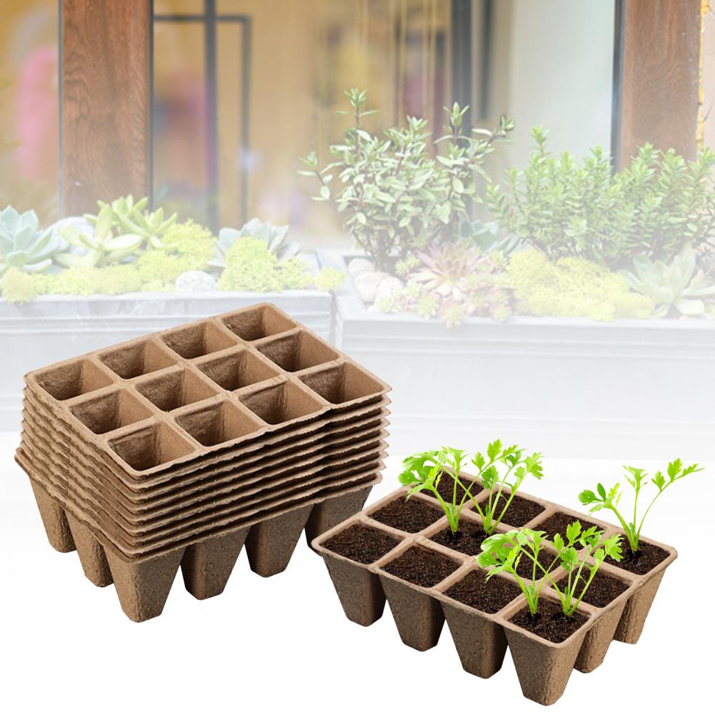 5Pcs/10Pcs 12 Grids Portable Biodegradable Eco-fri... – Grandado