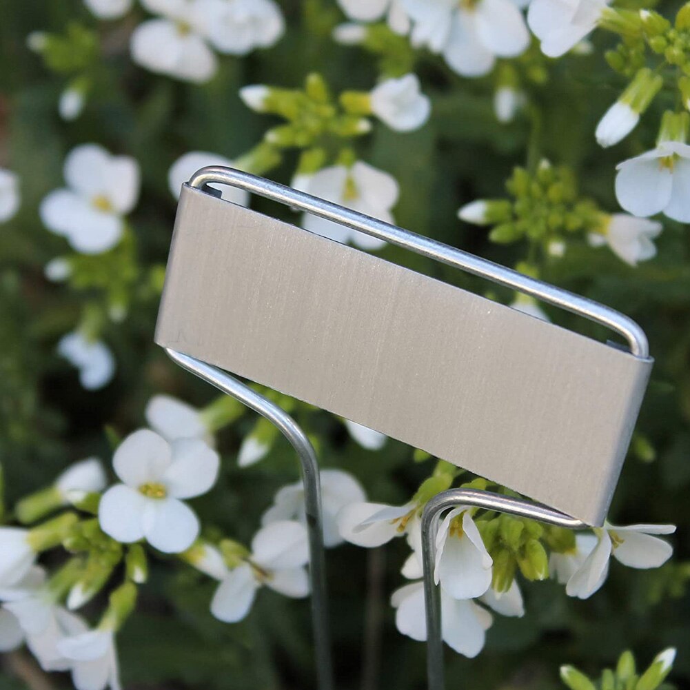 20pcs Metal Plant Labels Succulents Flowers Eco Fr... – Grandado