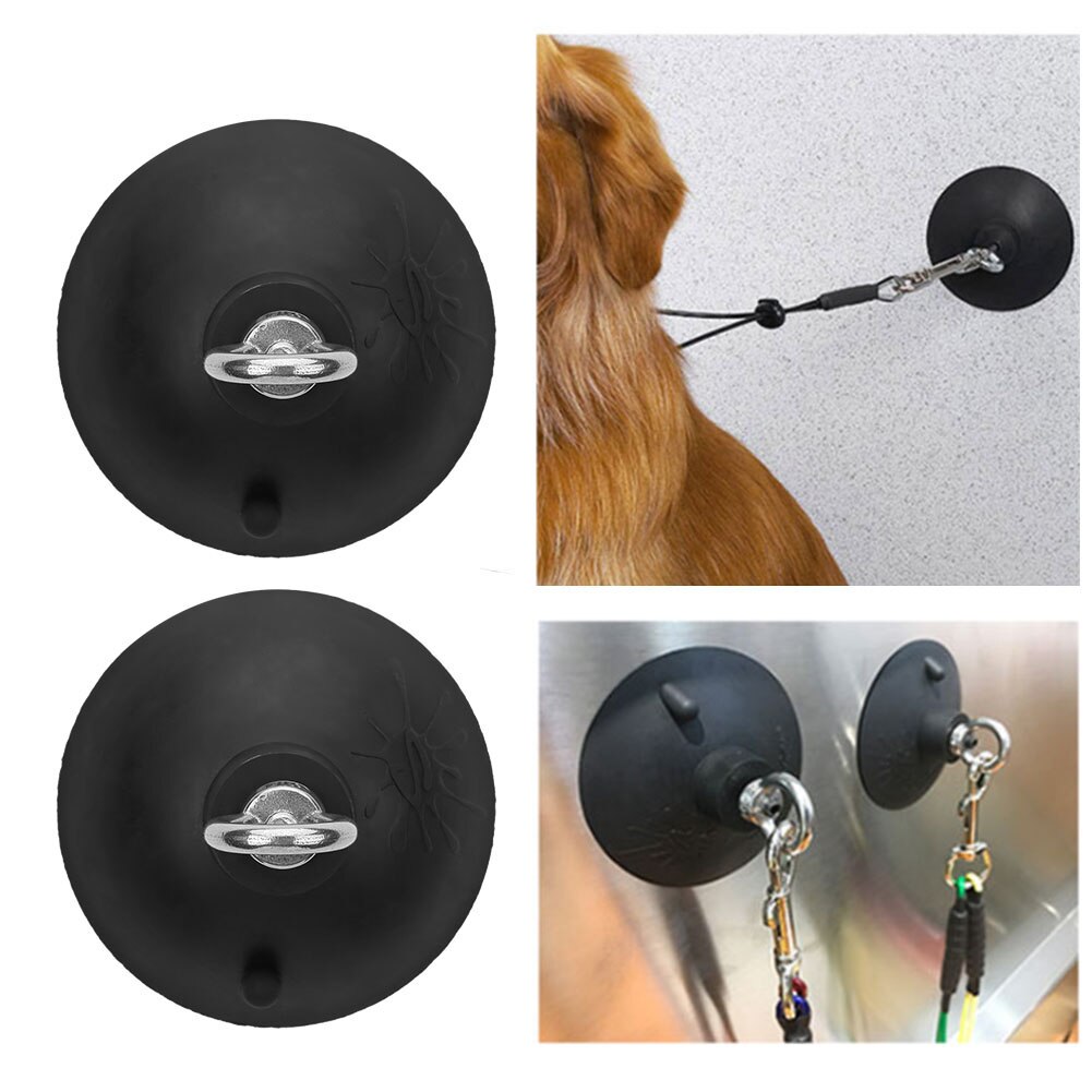 Fixed Suction CupPet Grooming Bathing Suction Cup ... – Grandado