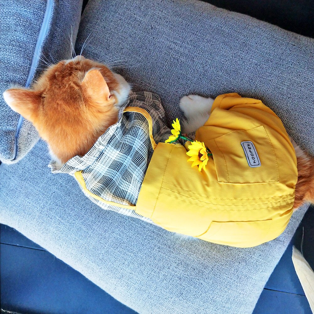 Hoopet Pet Cat Clothes Plaid Cotton Clothes Cat Ju... – Grandado