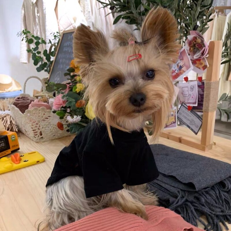 Moda cão verão camiseta schnauzer legal colete rou... – Vicedeal