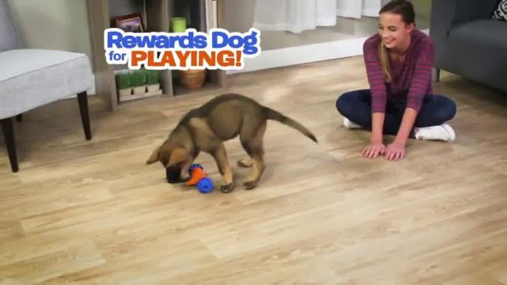 Bobo Bone Electric Dog Toy Smart Bone, Automatic &... – Grandado