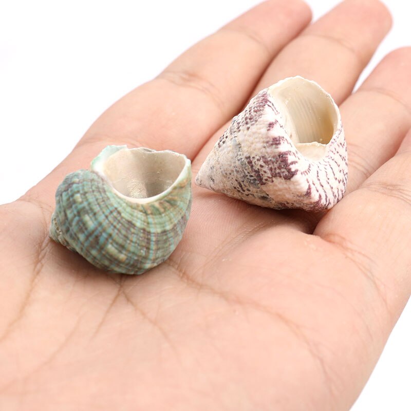 Mixed Ocean Sea shells Wedding Decor Beach Theme P... – Vicedeal