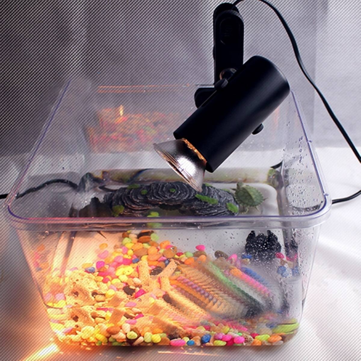 300W UVB Reptile Lamp Kit with Clip-on Ceramic Lig... – Grandado