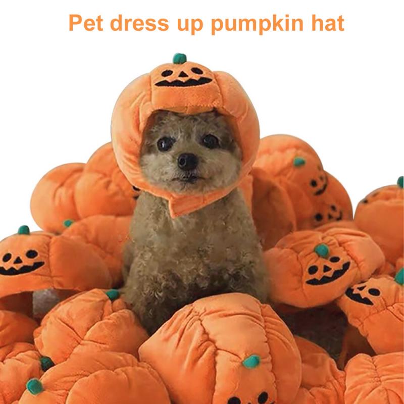 Pet Hoed Halloween Pompoen Pet Hond Kat Hoed Jurk ... – Vicedeal