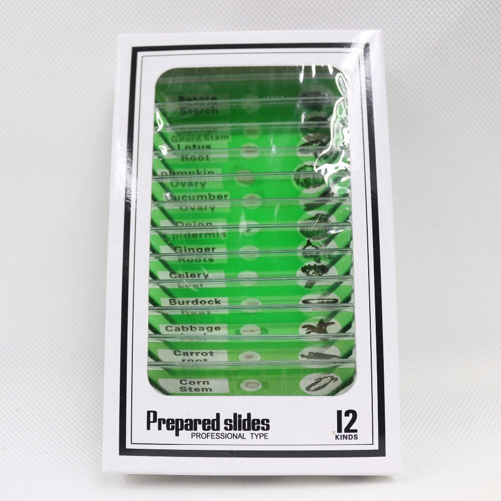 For children usage 48pcs plastic prepared slides s... – Grandado