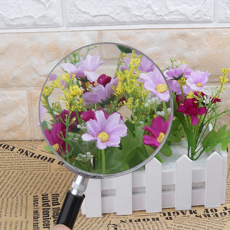 Portable Magnifying Glass Handheld Magnifier High ... – Vicedeal