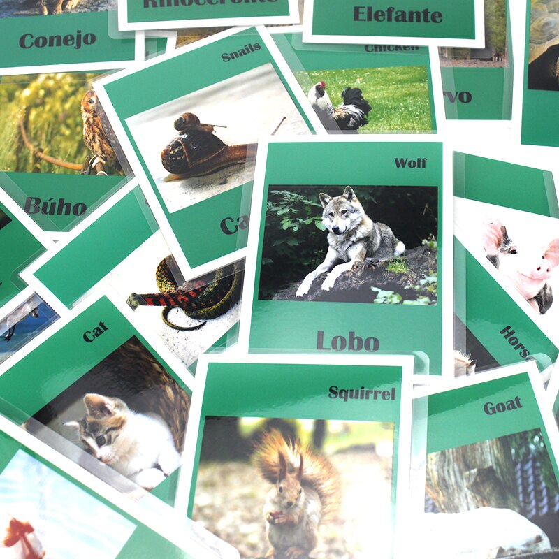 Spanish/English Animals Words Card Phonics Words F... – Grandado