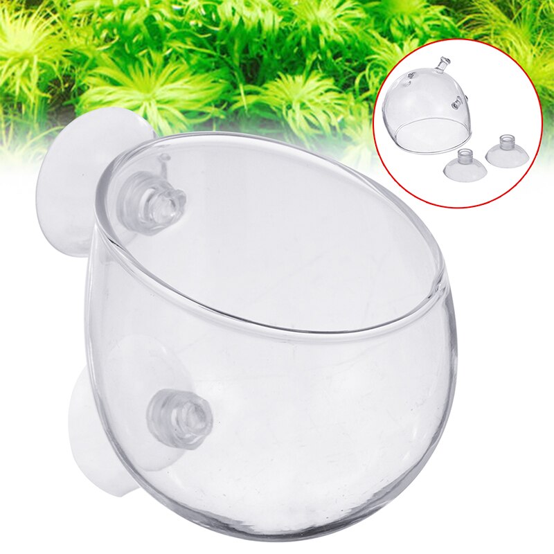 1Pack Aquatic Plant Glass Cup Pot for Aquarium Fis... – Grandado