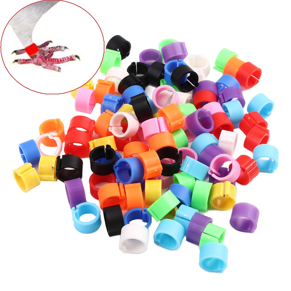 100 Stuks Kip Kip Duif Been Gevogelte Duif Vogel K... – Grandado