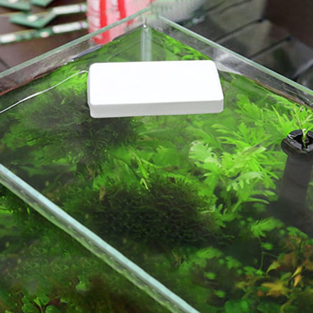 Fish Tank Magnetic Schraper Aquarium Drijvende Non... – Vicedeal