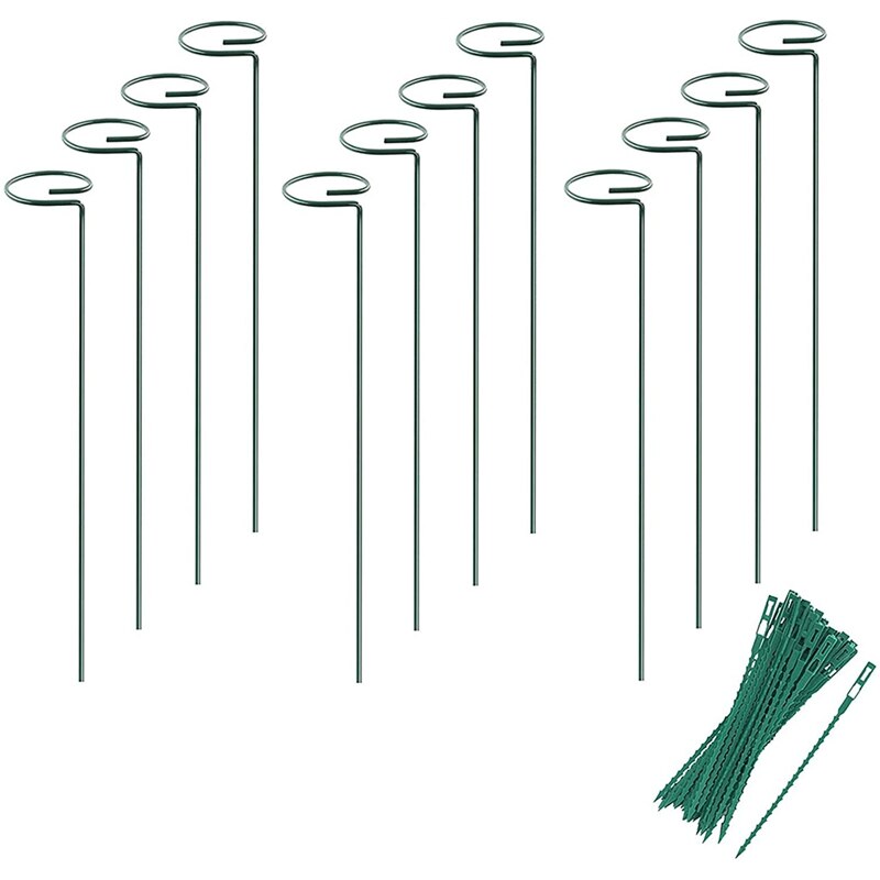 Promotion! Plant Support Stakes, 15.7 Inch Plant S... – Grandado