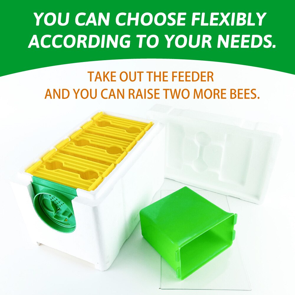 Queen Bee Rearing Mating Beehive Nuc Box Bees Box ... – Grandado