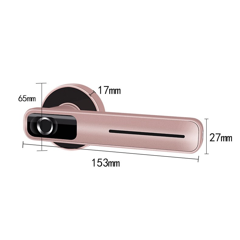 Fingerprint Door Lock Electric Fingerprint Lock wi... – Vicedeal