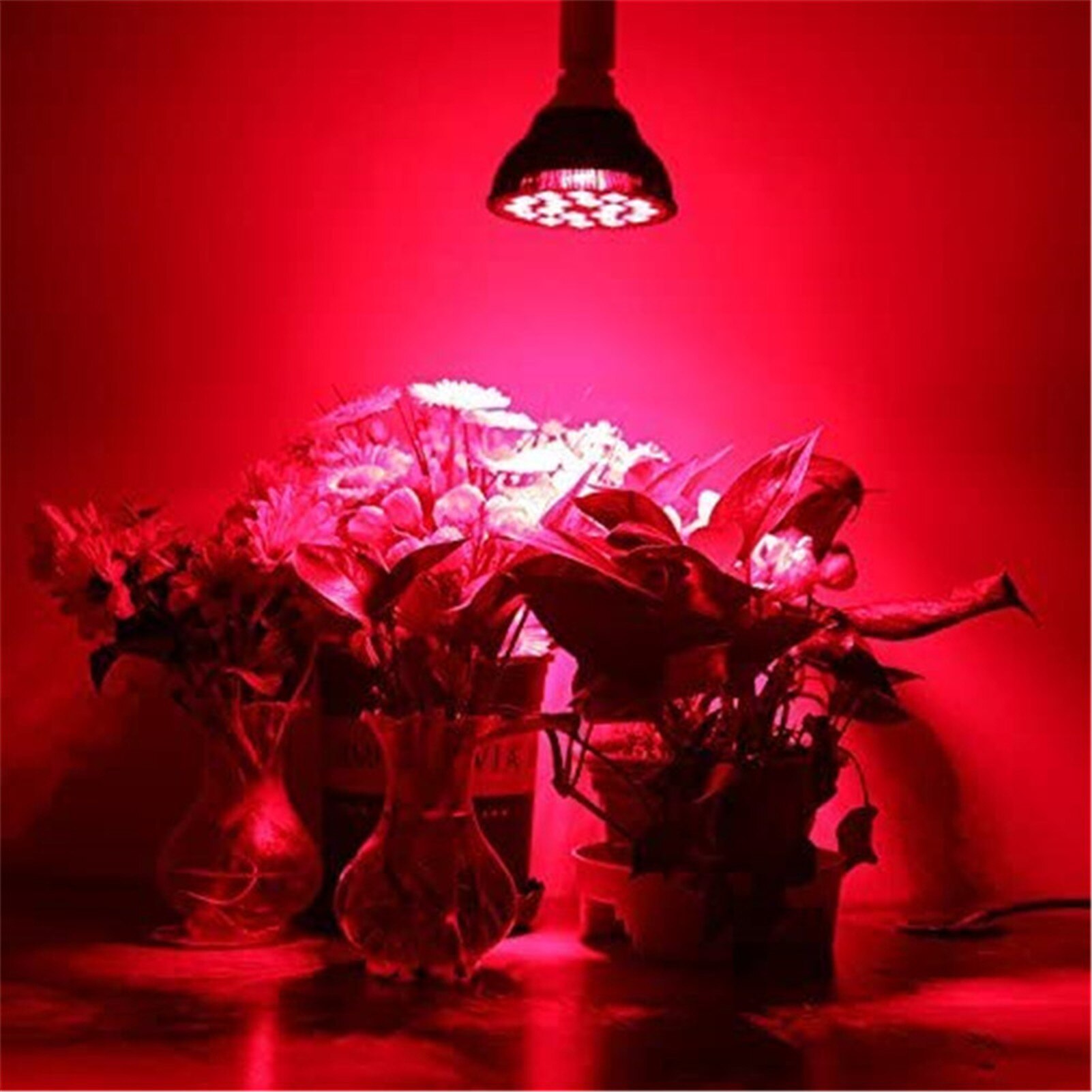 LED Grow Light Full Spectrum Red Blue UV IR Led Gr... – Grandado