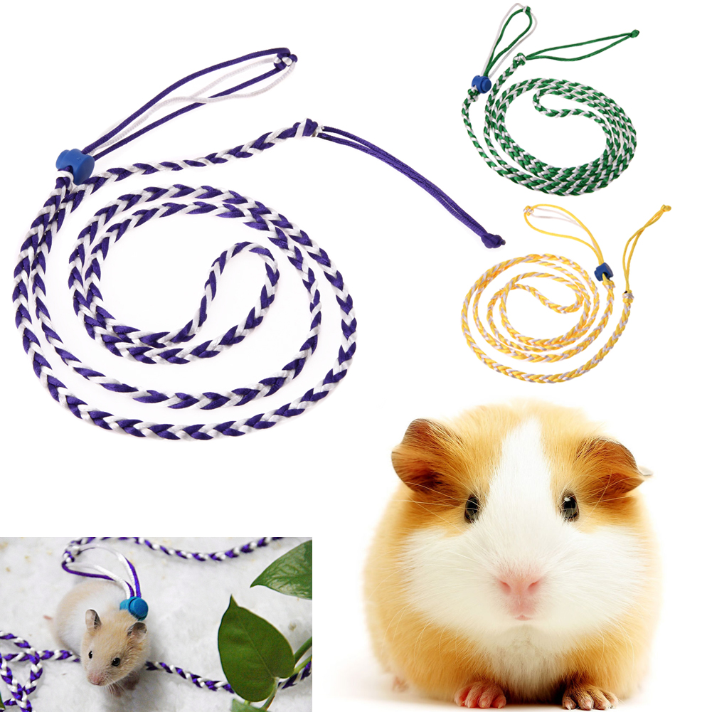 1.4M Adjustable Pet Hamster Leashes Gerbil Pet Cag... – Grandado