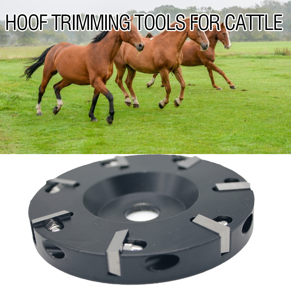 Electric Hoof Knife Livestock Sheep Cattles Horses... – Vicedeal