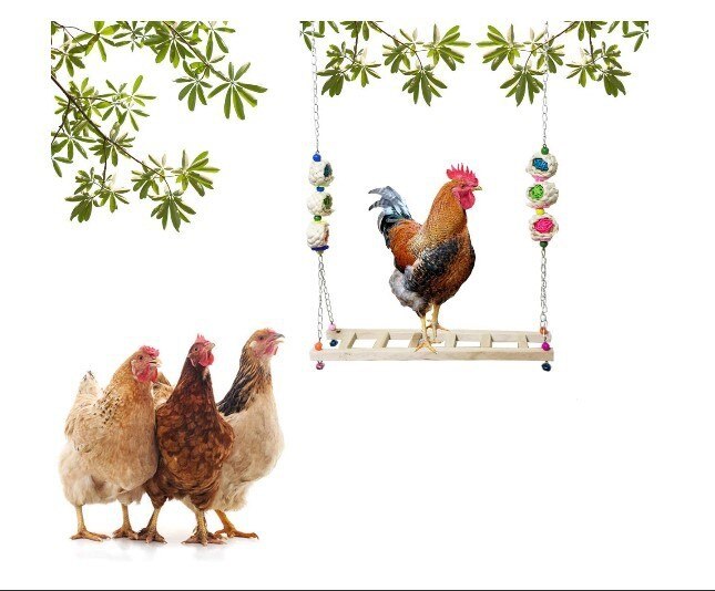 Toy Swings Chicken Ladder Wood Stand Chicken Toy S... – Grandado