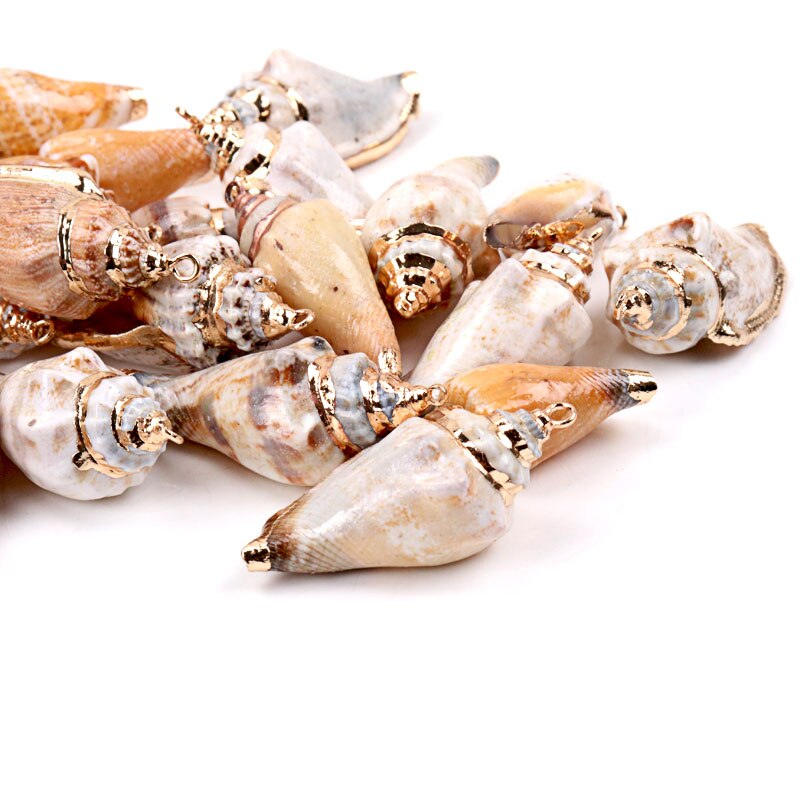 plating Spiral Cut Shell For Scrapbook Craft DIY H... – Grandado