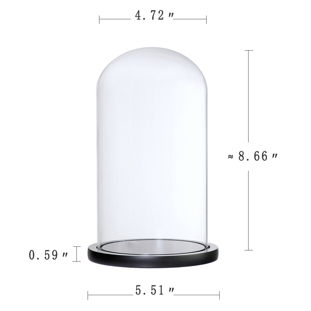 Glass Cover Dome Container with Base for Flower Ro... – Grandado