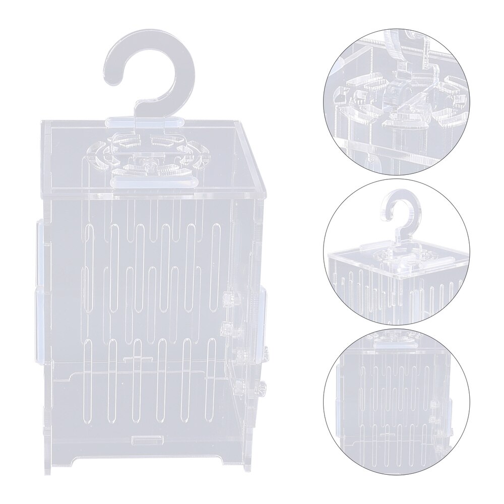 Insect House Bug Box Transparent Insect Cage Grass... – Vicedeal