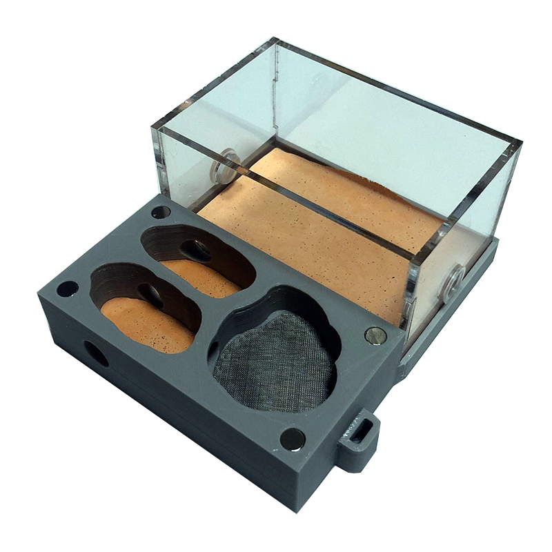 3D Acryl Ant Farm Ecological Flat Ant Nest with Fe... – Vicedeal