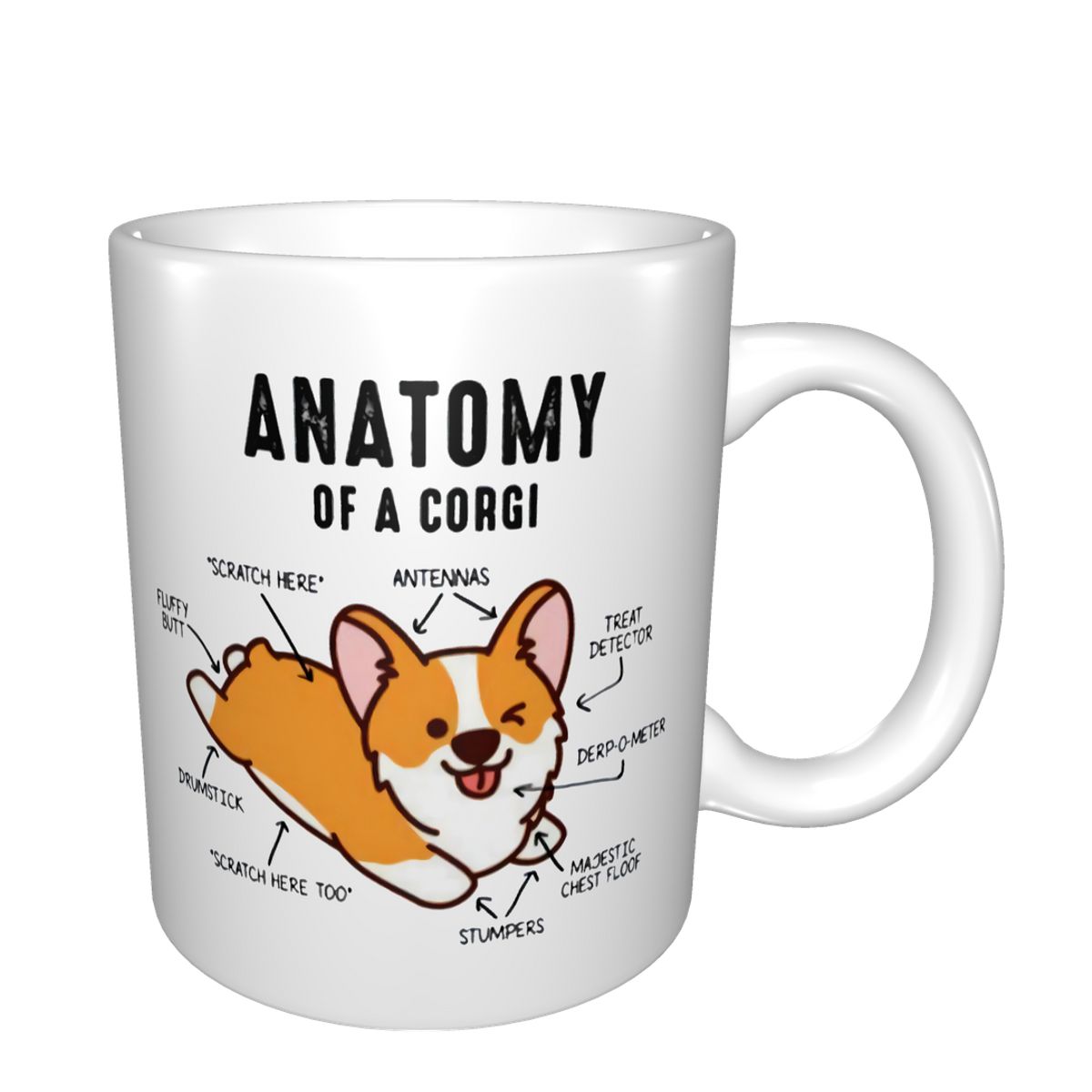 Anatomie Van Een Corgi Grappige Witte Hond Minnaar... – Vicedeal