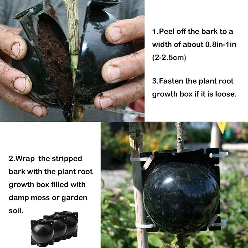 5pcs Plant Rooting Ball Grafting Rooting Growing B... – Grandado