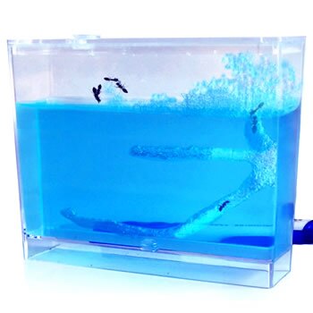 The butterfly ecological science toys heaven Ant A... – Vicedeal