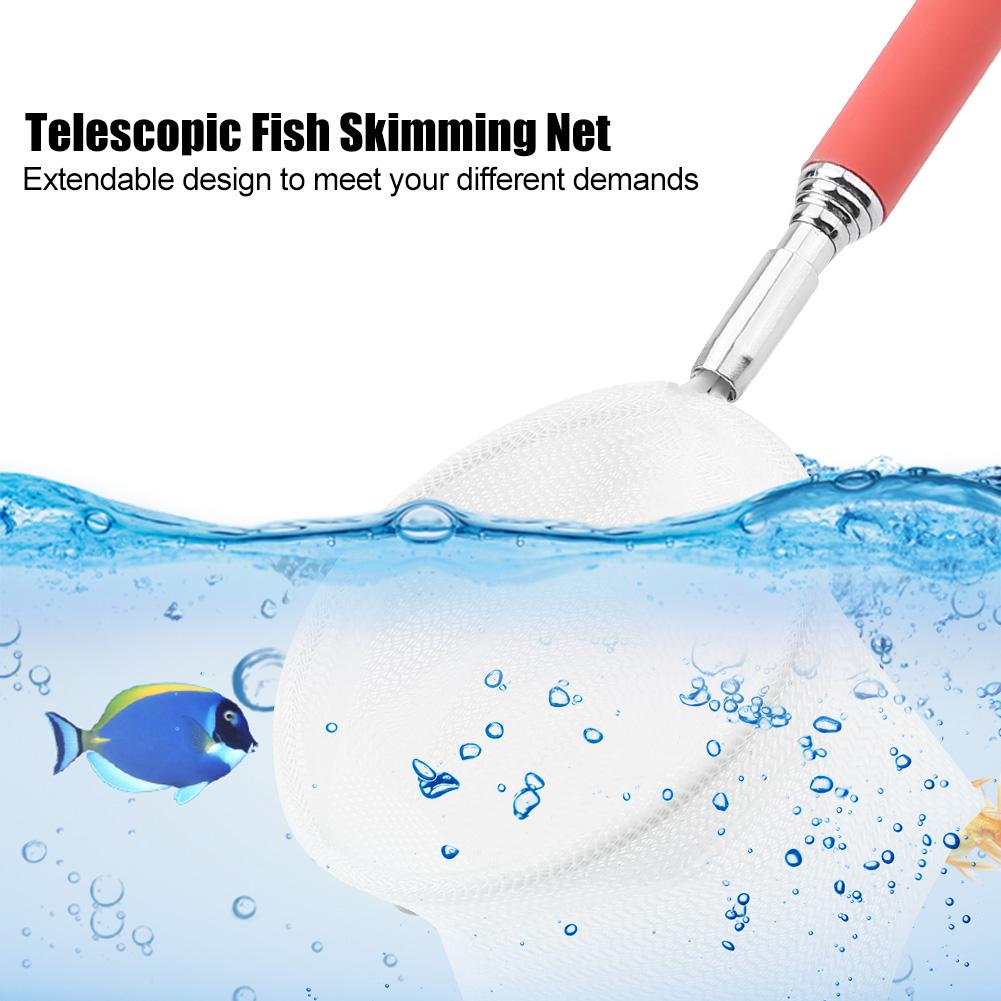 Metal Extendable Telescopic Fish Shrimp Skimming N... – Grandado