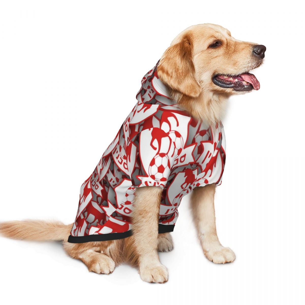 Israel Bnei Sakhnin Fc Medium and Large Pet Dog We... – Vicedeal