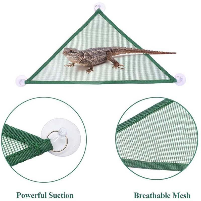 2 Pack Bearded Dragon Lizard Hammock Reptile Loung... – Grandado