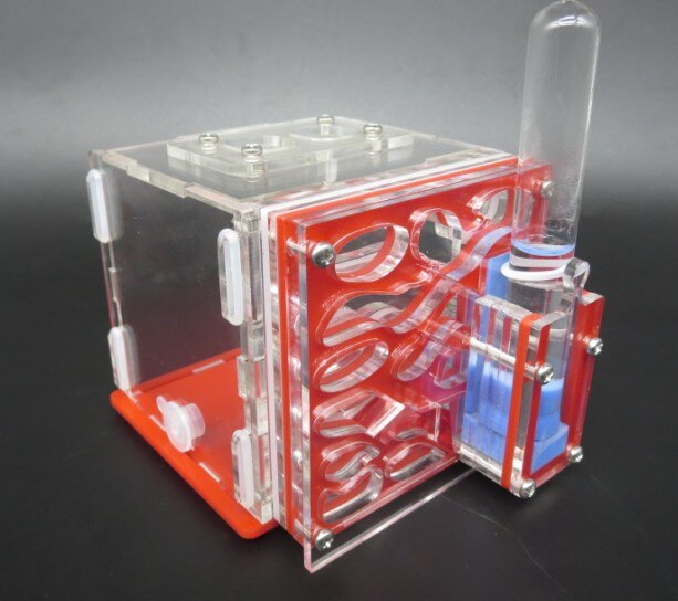 test tube DIY With Feeding Area Ant Farm Ants Nest... – Grandado