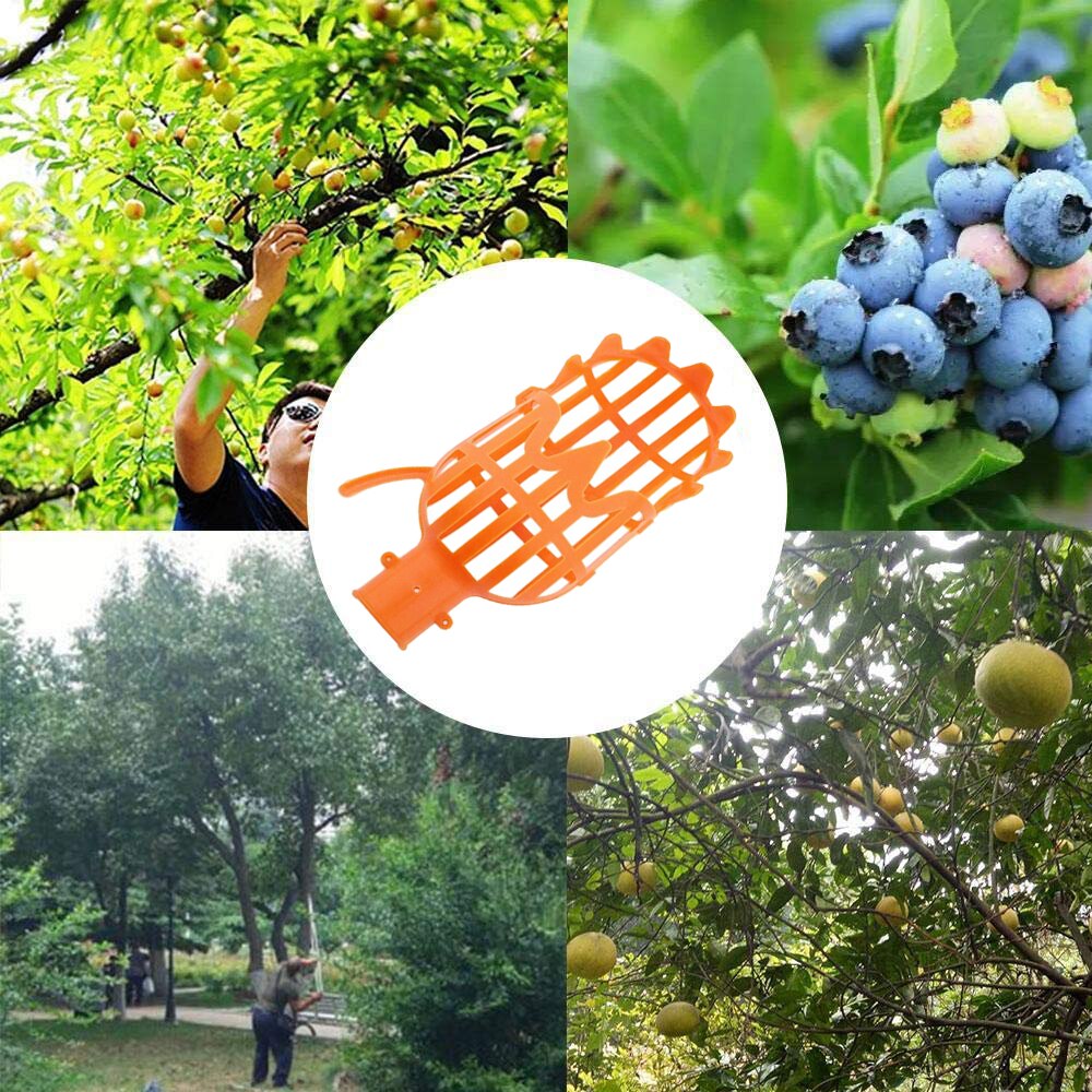 Fruit Picker Garden Tools Gardening Fruits Collect... – Grandado