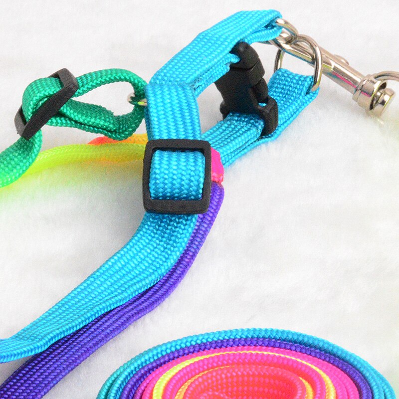 Colorful Rainbow Pet Dog Collar Harness Leash Soft... – Grandado
