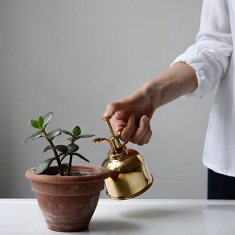 Vintage Plant Flower Watering Pot Spray Bottle Gar... – Vicedeal