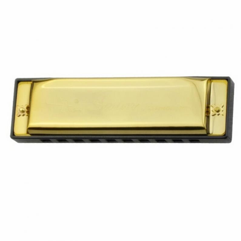 10 Holes 20 Tone Harmonica KeyC for Blues Harmonic... – Vicedeal