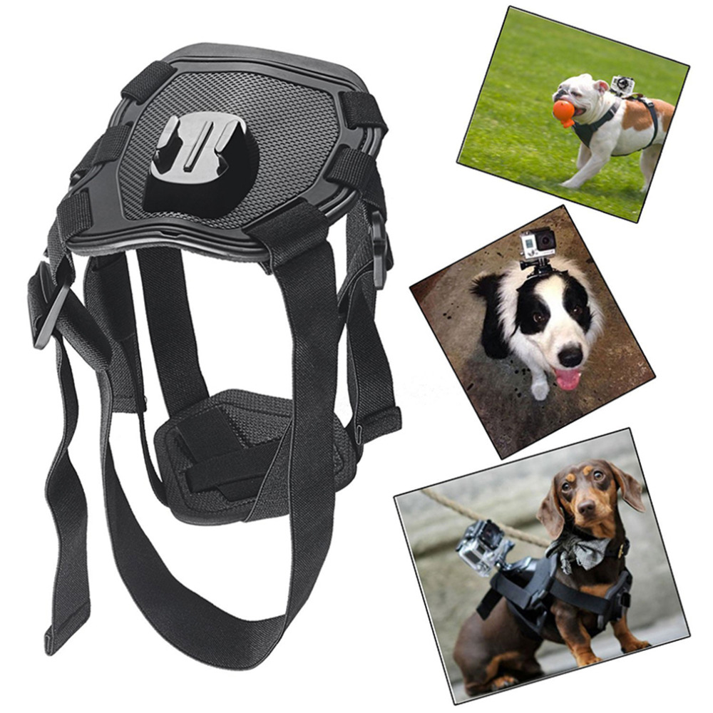 Adjustable Fetch Dog band for Gopro hero8 7 6 5 4 ... – Grandado